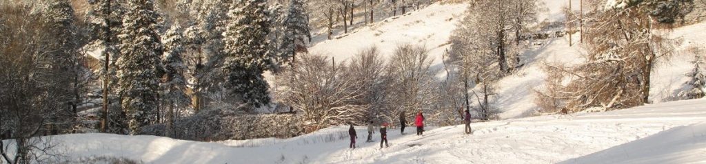 Happy New Year – but no snow yet – Ski-Allenheads